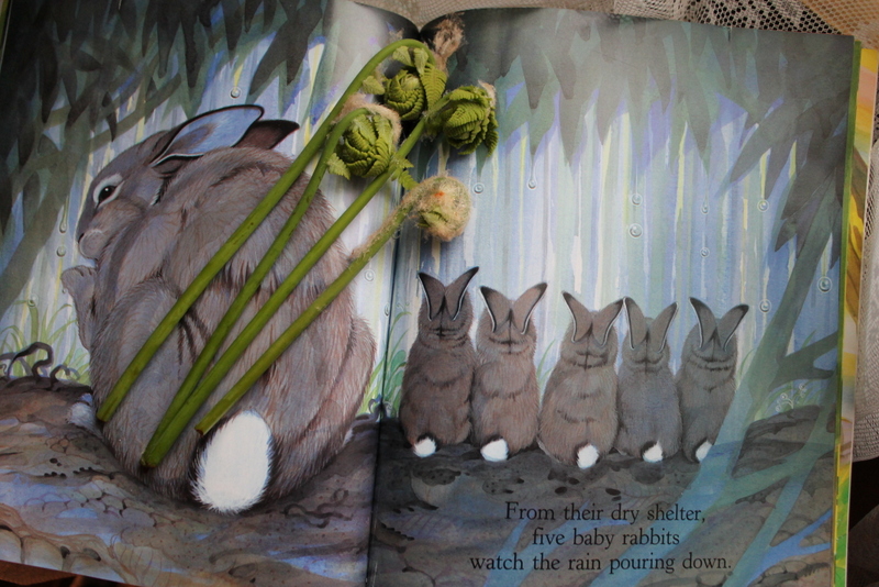 Books and Umbrellas: Rabbits & Raindrops by Jim Arnosky