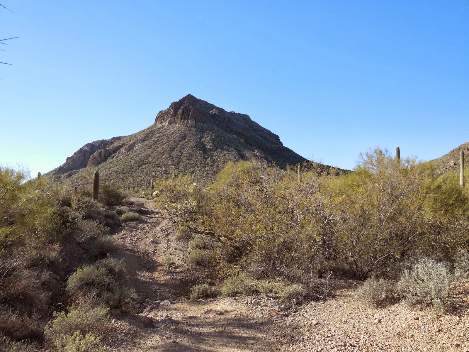 Exploring the American West: Yetman Trail Tucson Mountain Park December ...