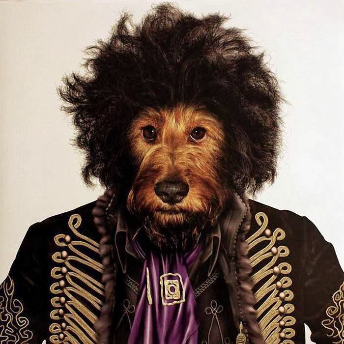 Pet com Café: Pets Rock - Personalidade famosas em versão canina e felina!