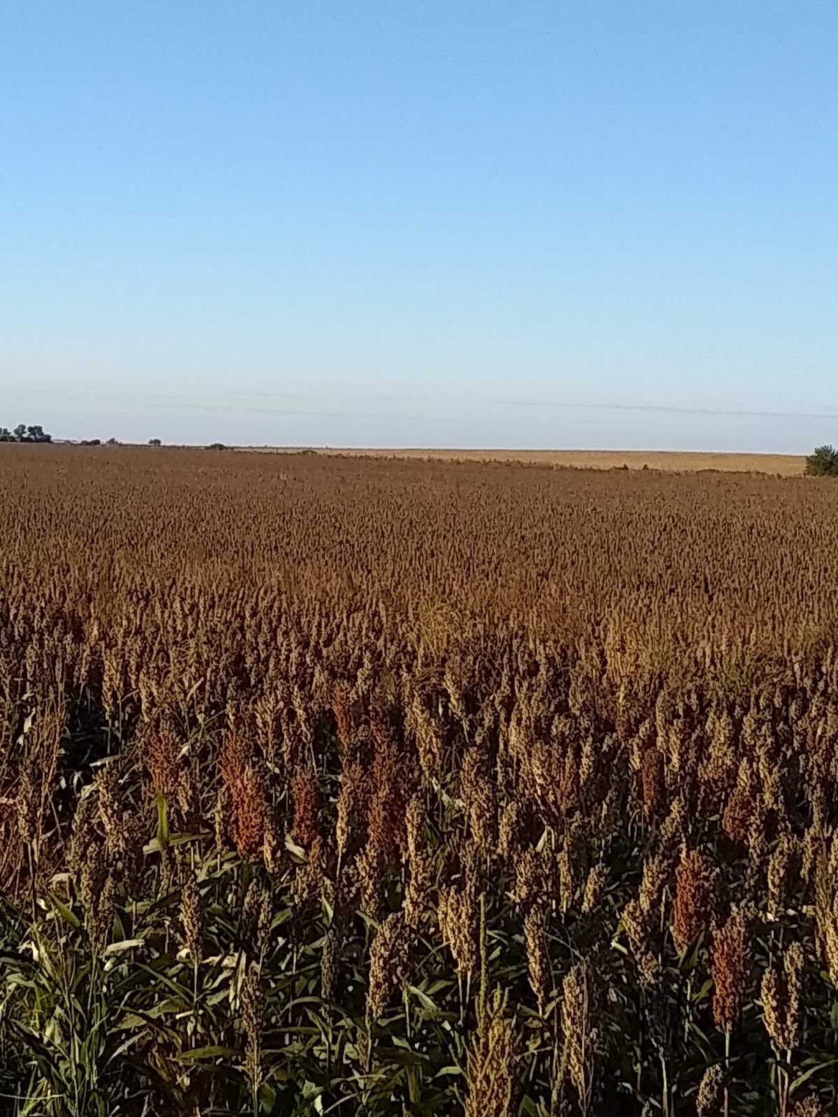Tales of a Kansas Farmer