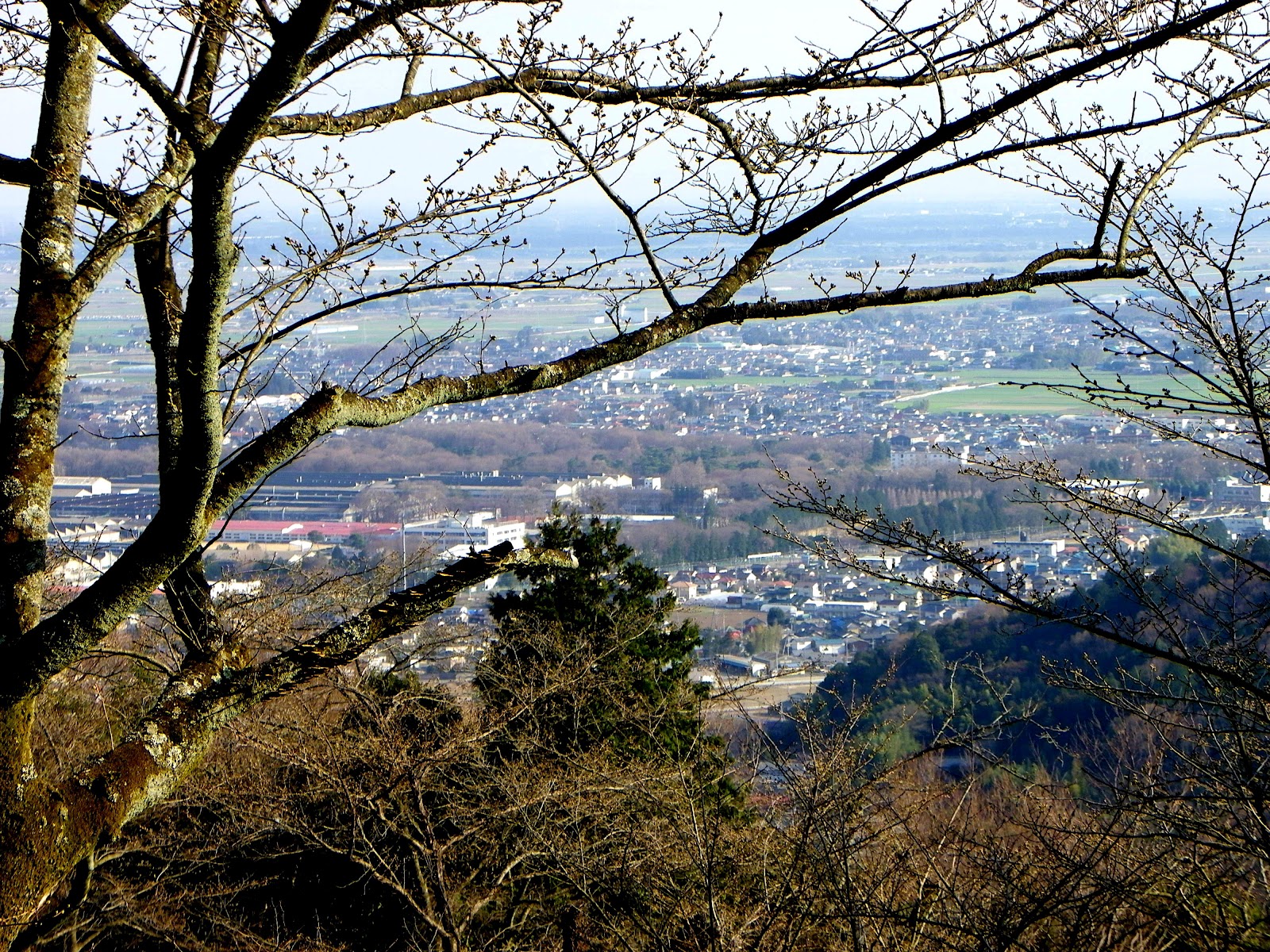 Japan Trip Cherry Blossom Season 2012: April 1 Ohira Mountain Tochigi ...