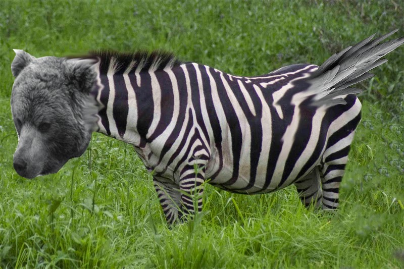 Art Alley: Chimera: MMS 6th Graders Use Photoshop to Create Chimeras