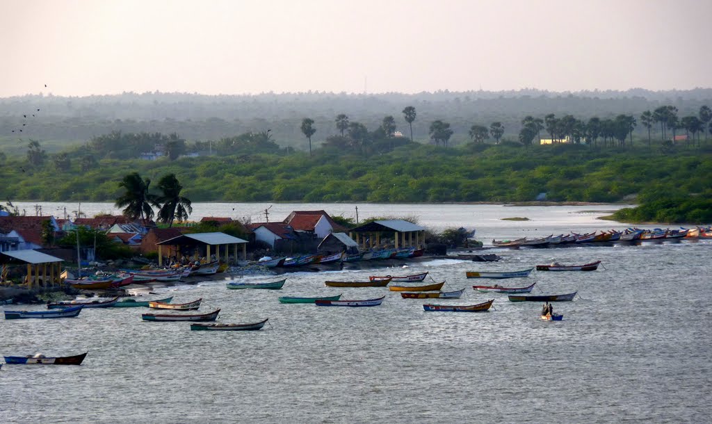 Tamilnadu Tourism: Manappad Beach, Thoothukudi