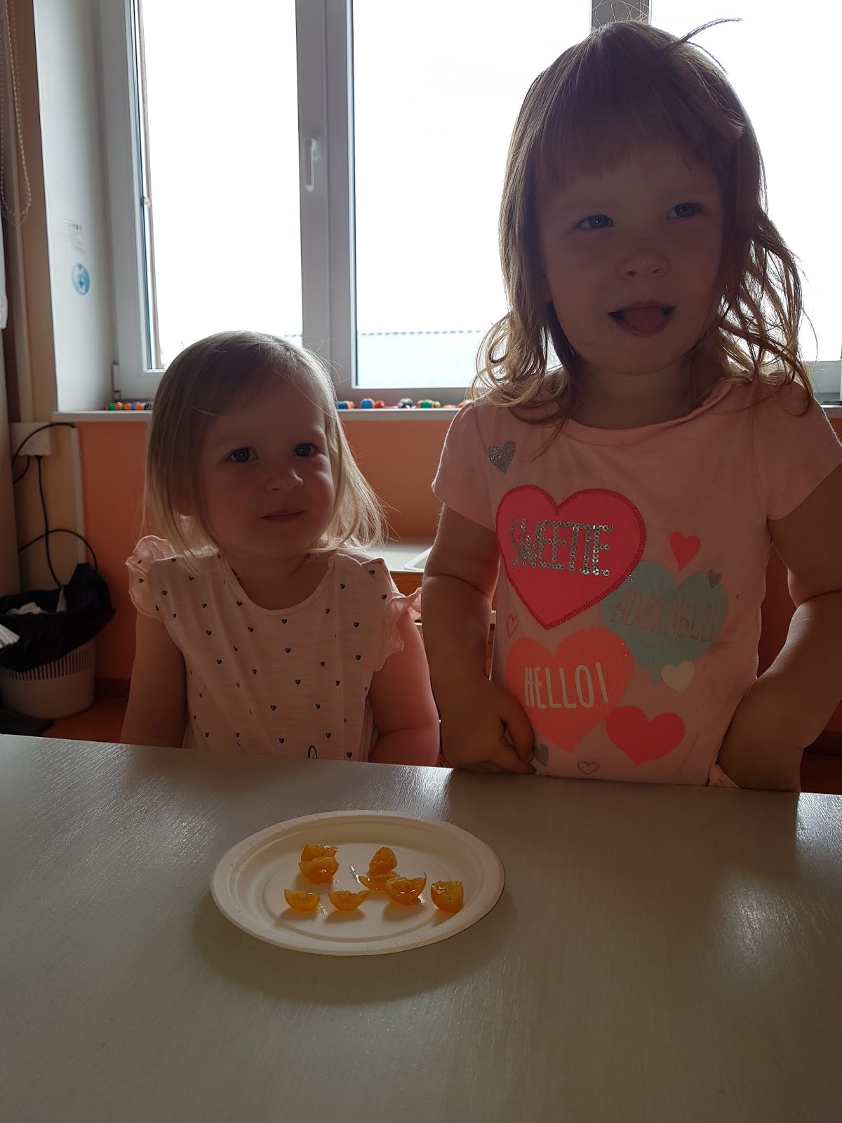 Kuuseriisika tomatisõbrad.