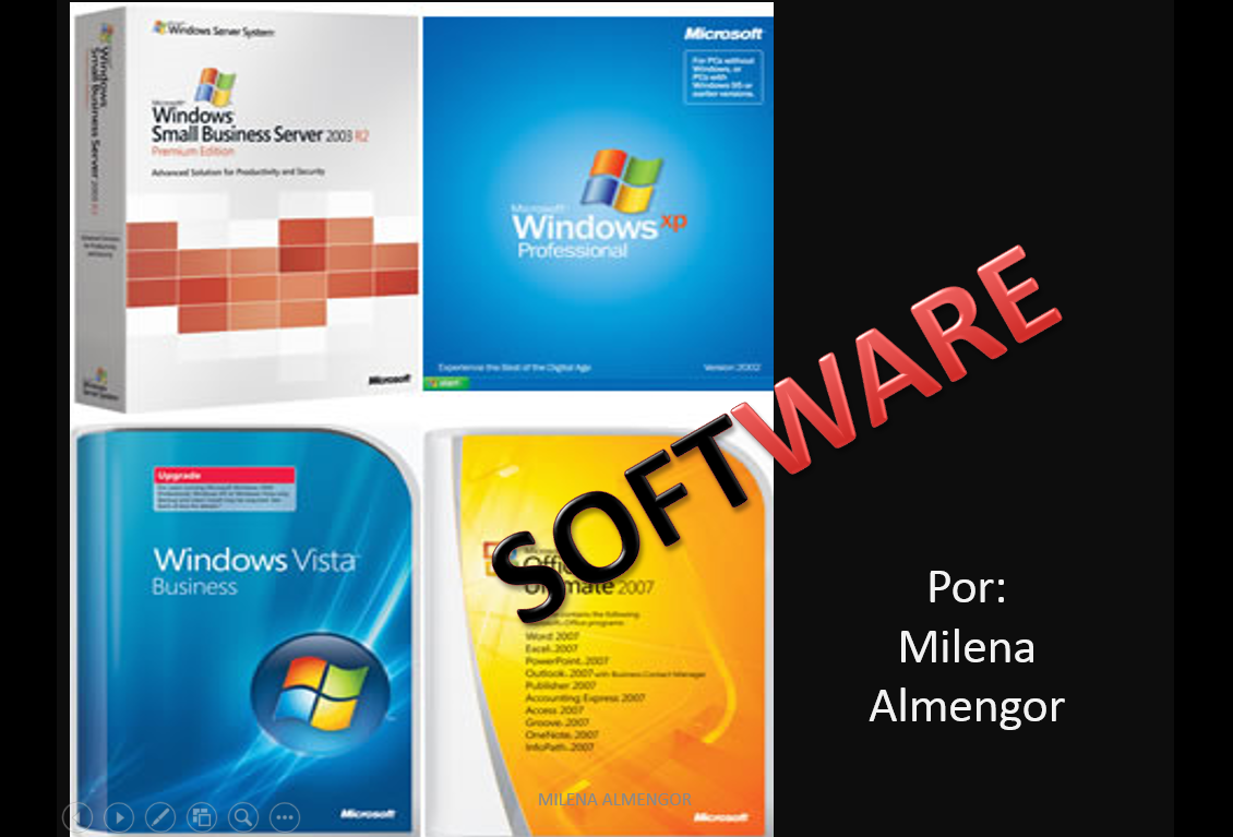 software: Significado de Software