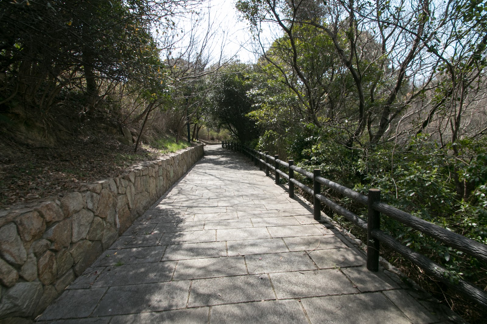 Shimotsui Castle -Castle looking down straight and bridge- | Japan ...