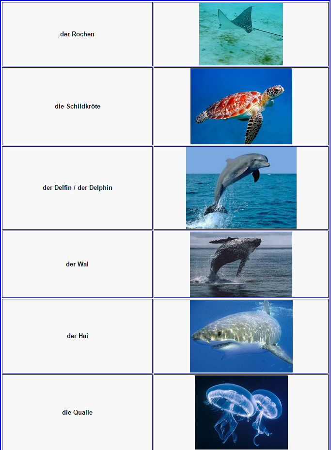 German Vocabulary - Animals « L E A R N G E R M A N