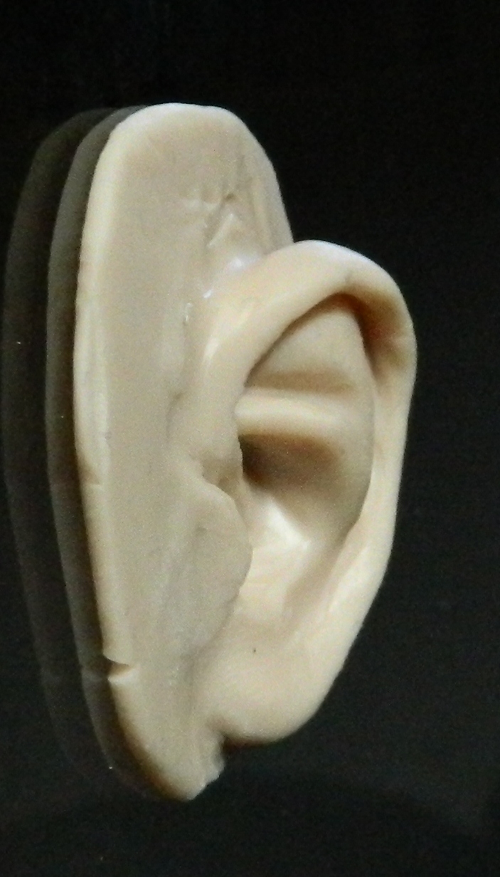 MADSCULPTOR: Sculpting Ears