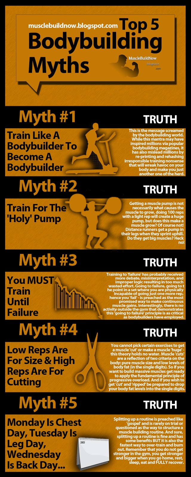 Xtrim Information Graphics: Top 5 Body Building Myths [Infographics]