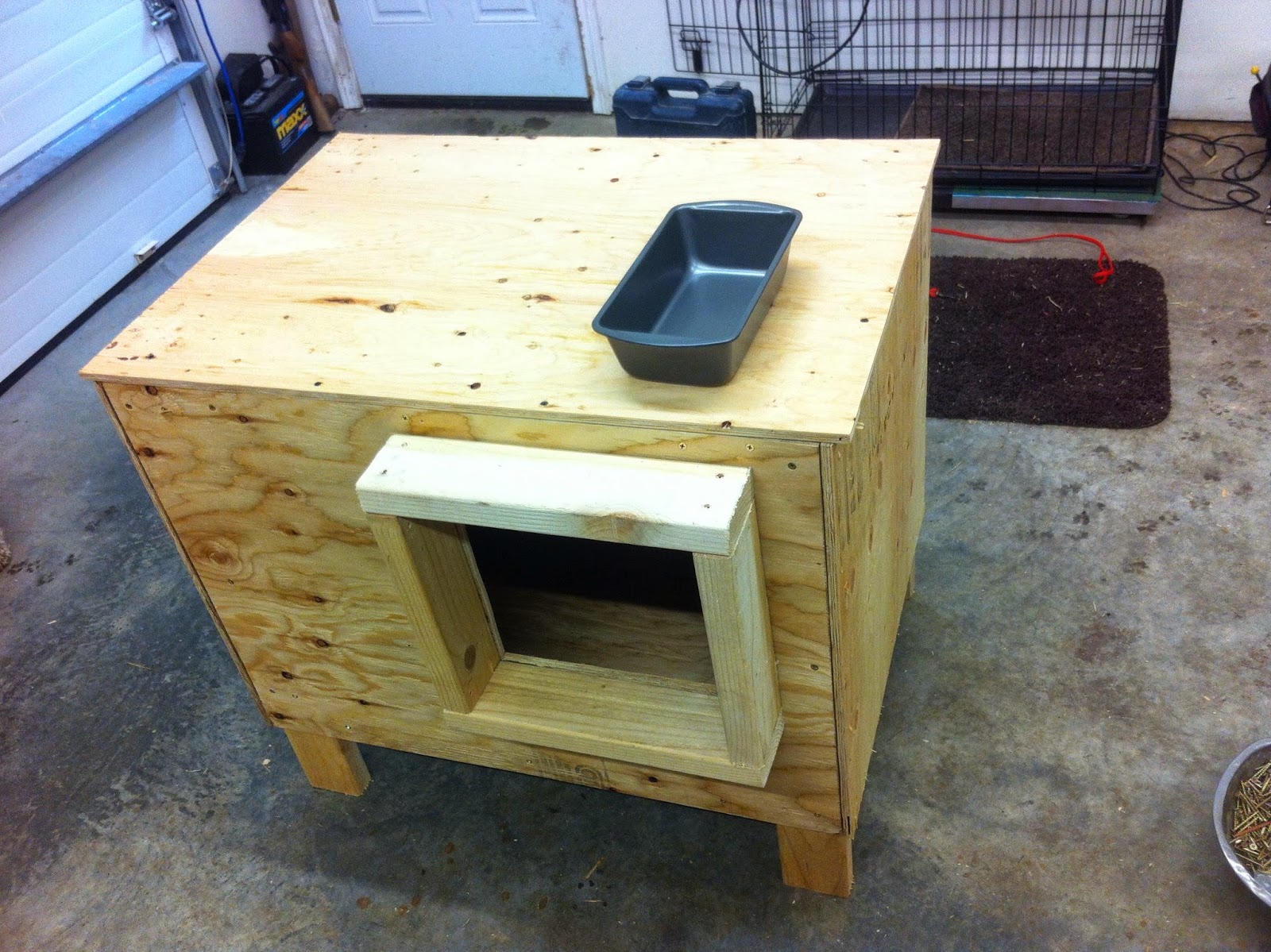 Construction at the Kennel - SP Kennel