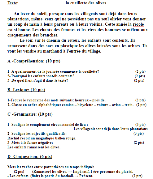 modèle 6 d ' examen local de français pour la sixième année primaire ...