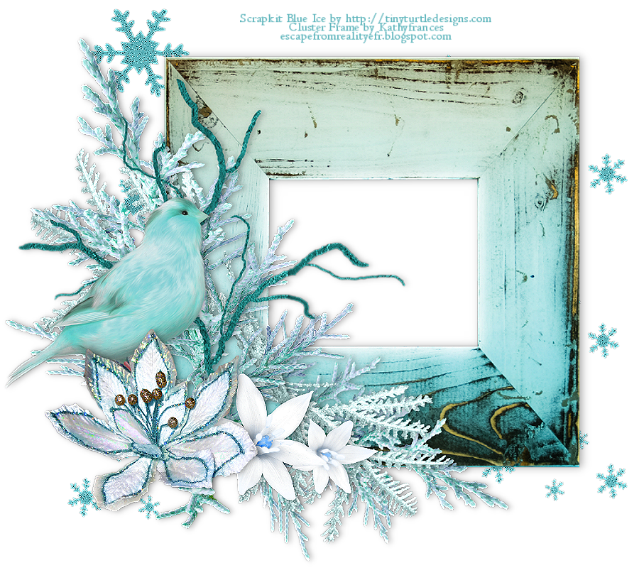 Escape From Reality Blog: FTU 'Blue Ice' Cluster & Cluster Frames