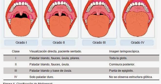 Sistemas de Mantenimiento, Regulación y Relación del Organismo Humano ...