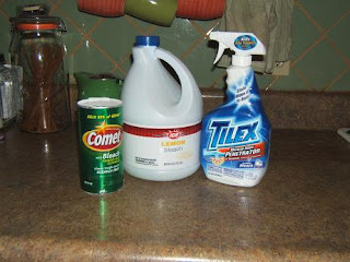 The Cleaning Lady Talks Dirty: In Praise of Bleach!!!