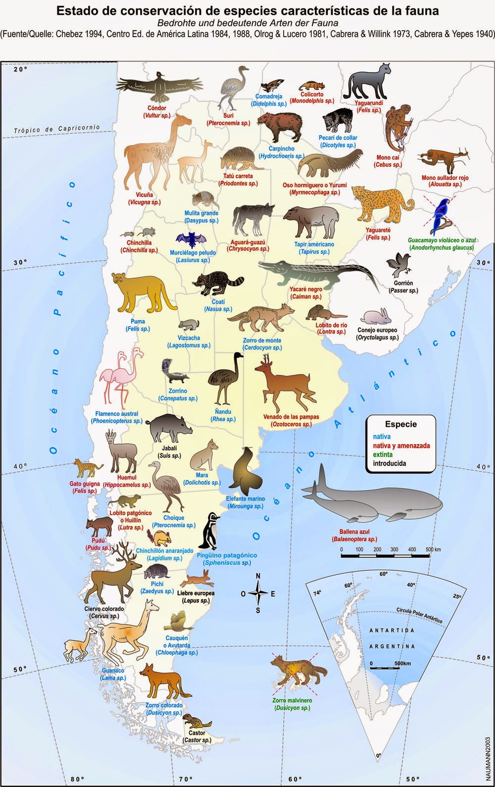 LOS MAPAS TEMÁTICOS