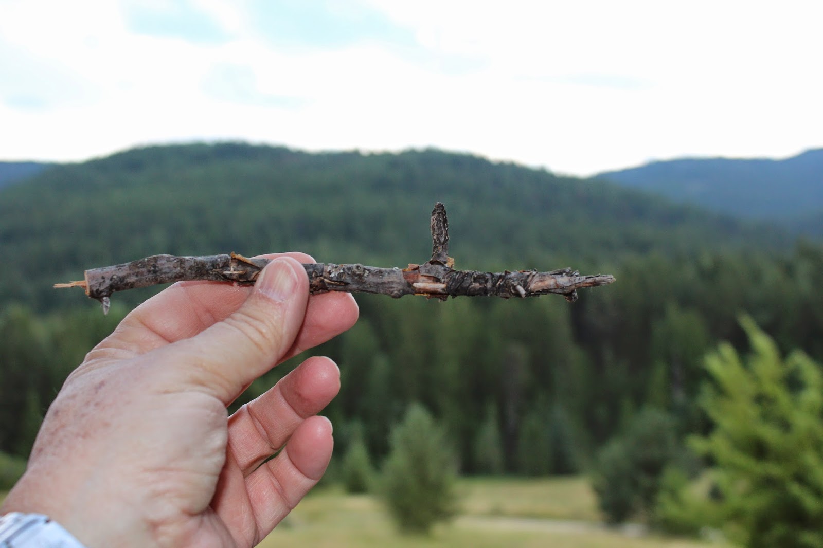 Jimbo's Front Porch: The Old Hook Maker Returns.. (AUCTION IS OVER FOR ...