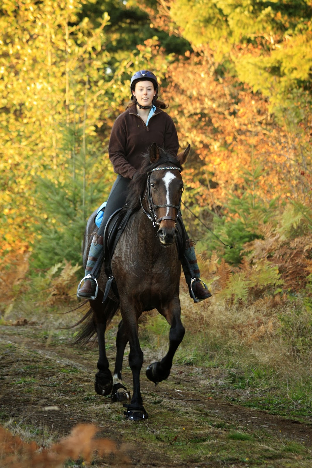 *TBA*: Equestrian Un-Bucket List