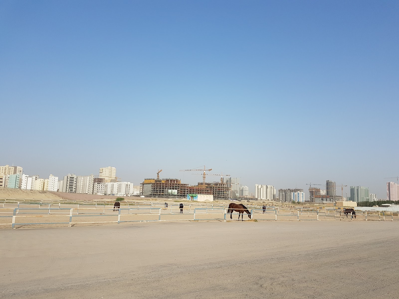 GAATEH KUWAIT (CYCLING): ROUTE 04: MANGAF BLOCK 01 - KUWAIT TOWER ...