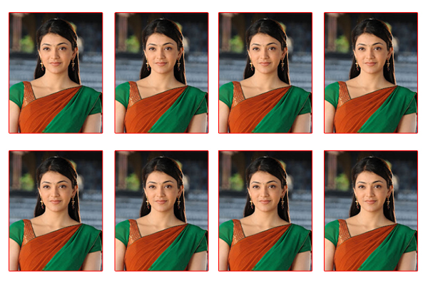 High Quality Pass Photos Free Delivery