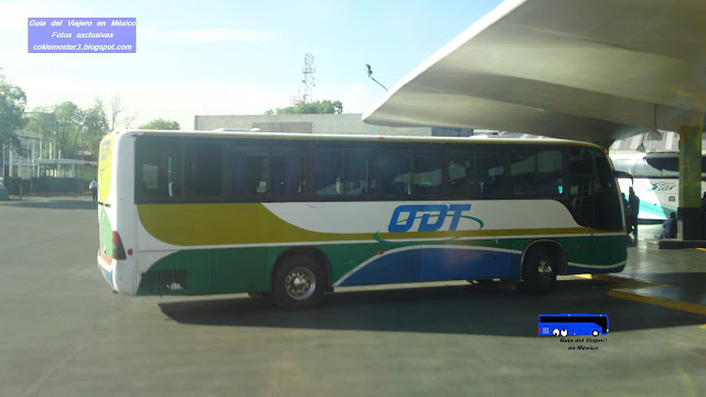 Omnibus de Tizayuca ODT