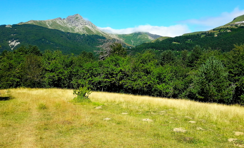 Mata de haya-Dolmen de Arrako