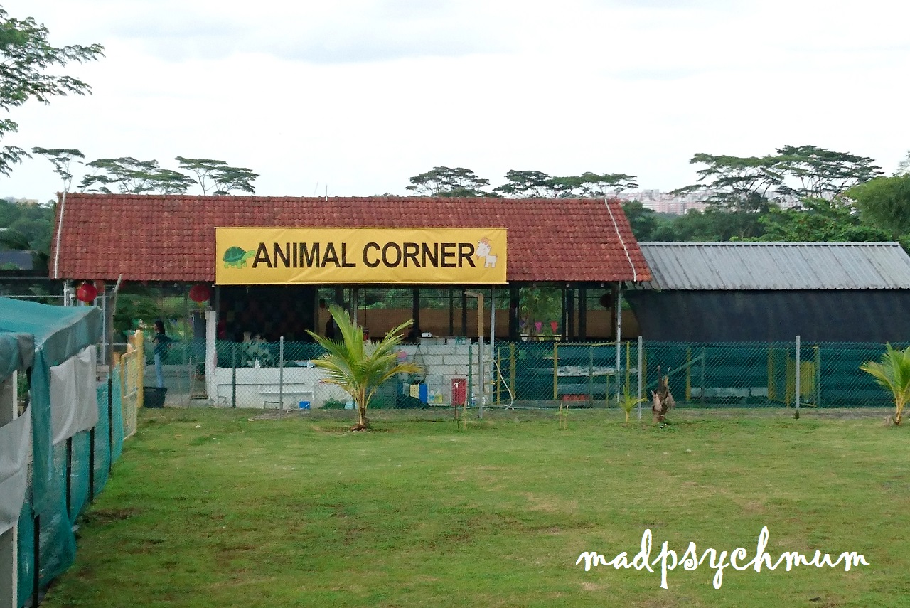 MadPsychMum | Singapore Parenting + Travel Blog: Animal Corner at ...