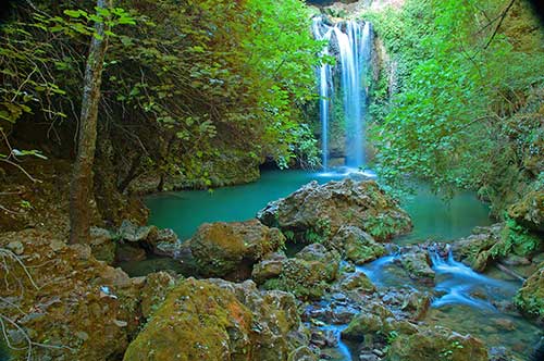 Ecosistemas acuaticos