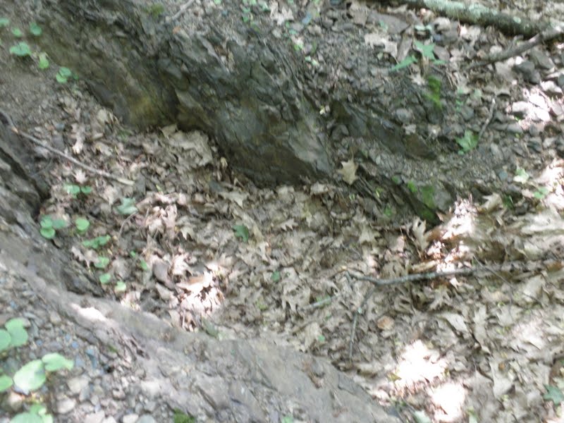 Upstate Earth: The Ancient Flint Mines of Coxsackie