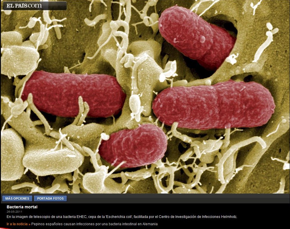 La lectora corrent: La comissaria virtual (43): els bacteris i el telescopi