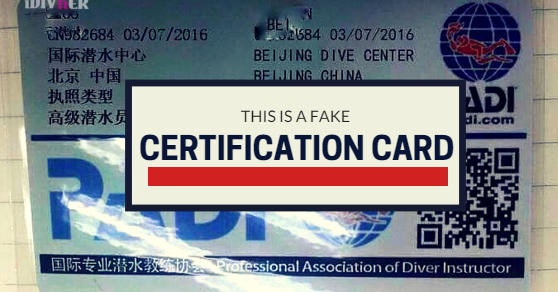 Observations in an undemocratic world: Fake certification cards