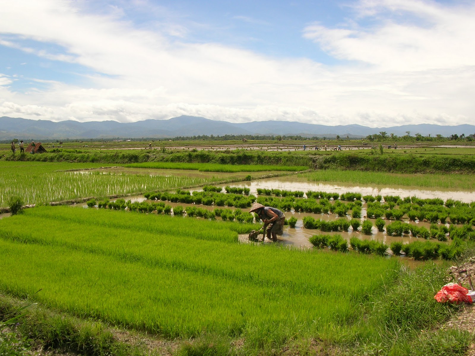 Kota Namlea ~ Bumi Nusantara