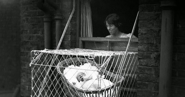 Weekly Weird: The Baby Cage