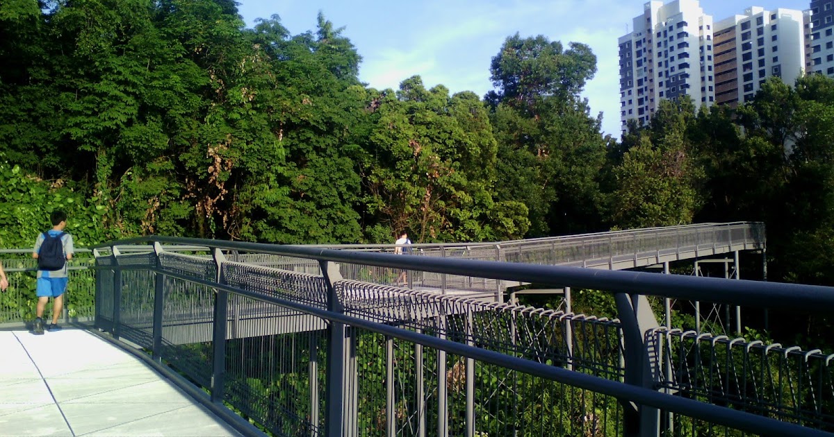 Pen and Broomstick: Southern Ridges: Hike!