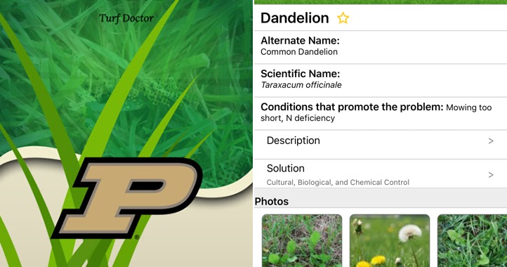 Purdue Turf Tips: Purdue Launches Turf Diagnostic Mobile App