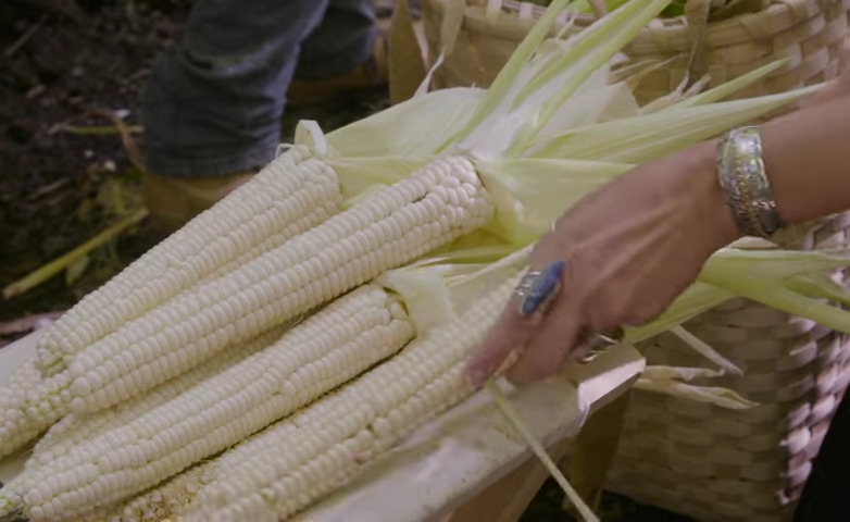 White Wolf : How Native American Farmers Are Saving Rare Crops From ...
