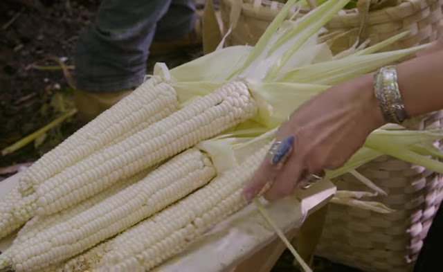 White Wolf : How Native American Farmers Are Saving Rare Crops From ...
