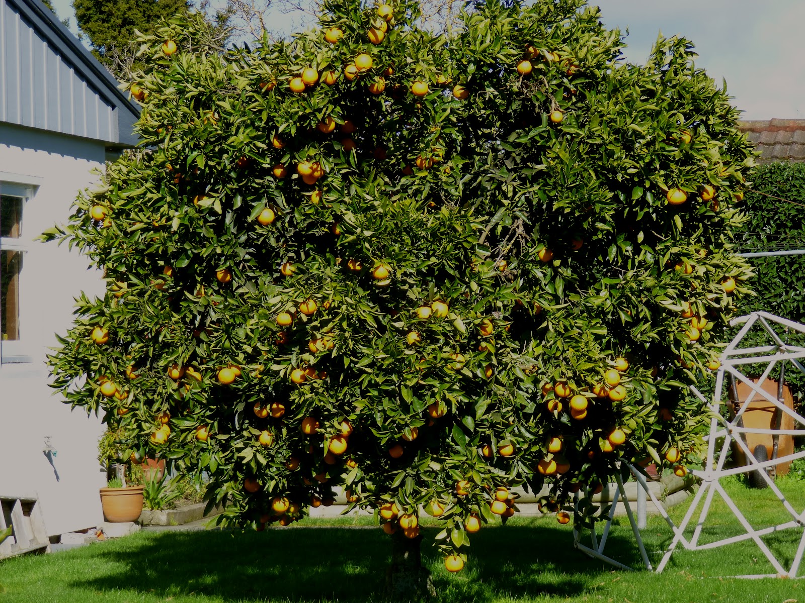 Our New Zealand Adventures: SPRING TIME IN NEW ZEALAND