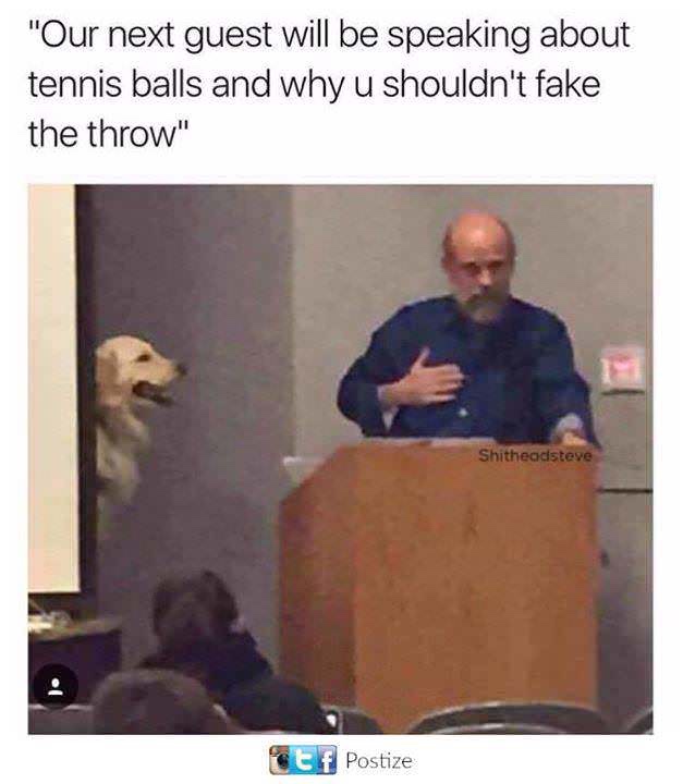 41 Random Memes Images To Blow Your Mind Today | 9GIG