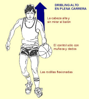Educación Física y Deportes: Los tipos de bote en baloncesto