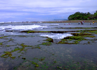 Wisata Pantai Cipatujah Tasikmalaya Jawa Barat - Wisata Keren