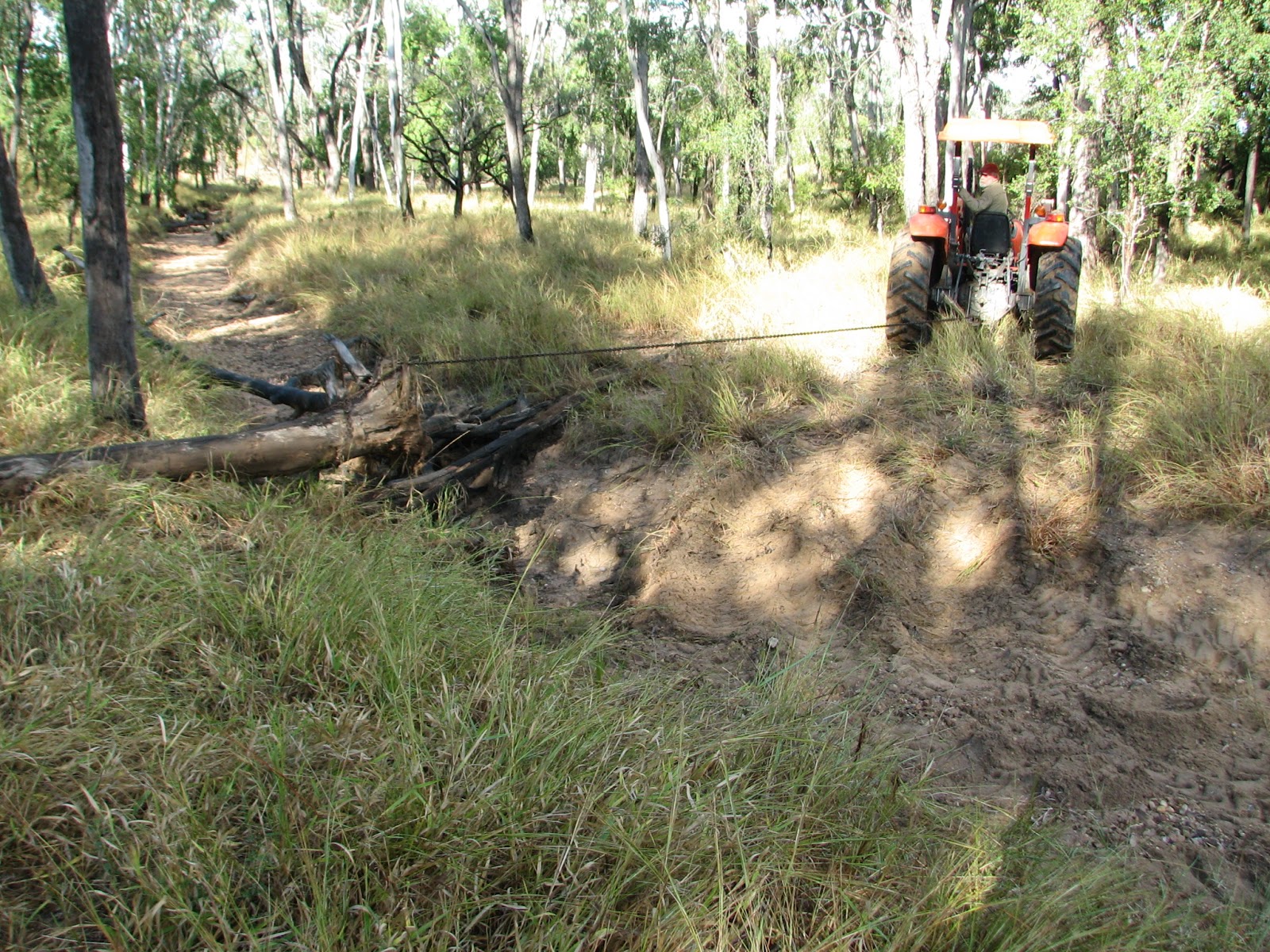 Healthy Farming Healthy Food: Leaky weirs