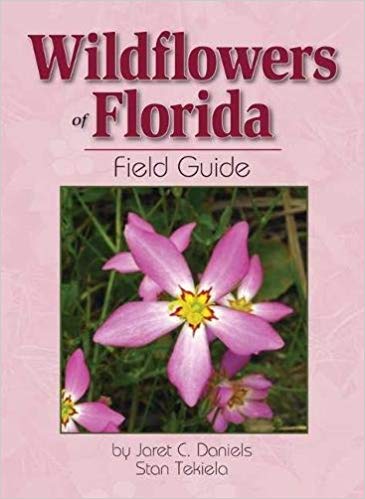 Spiderwort: Spring Beauty and Delightful Edible