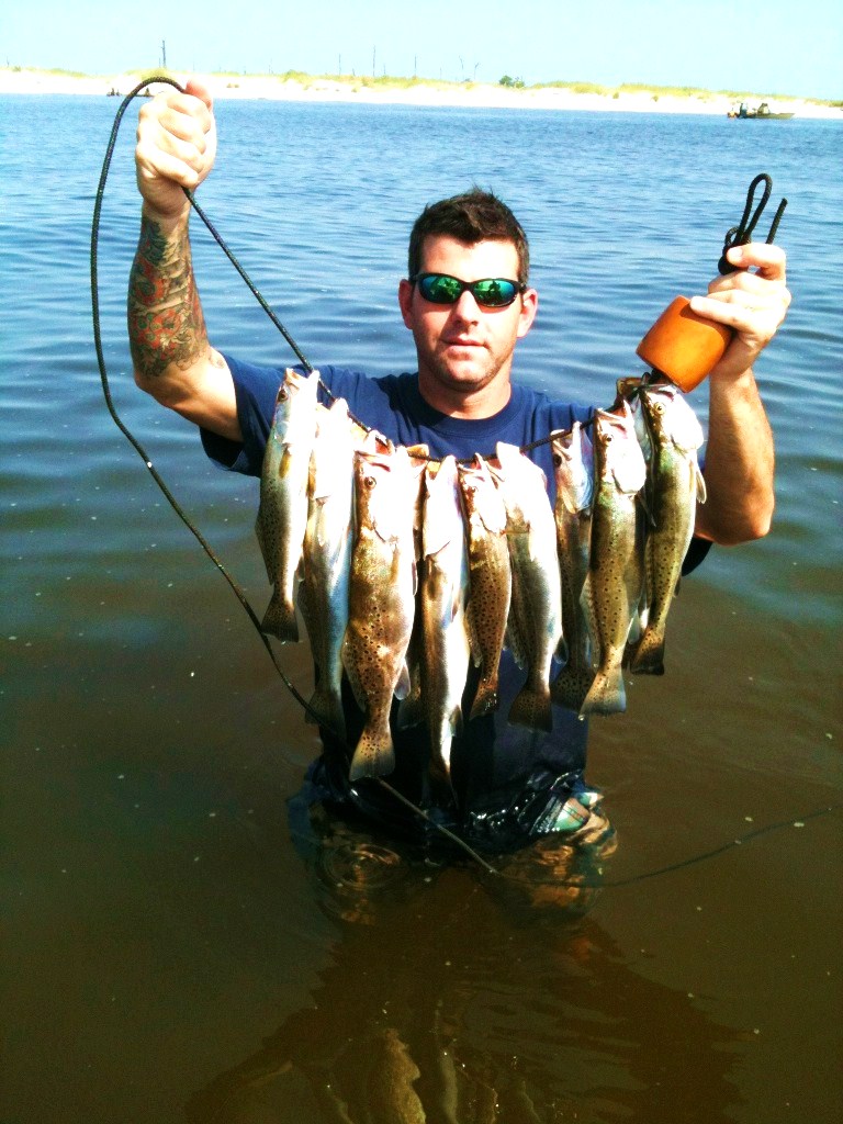 One Spicy Dish: Pan Fried Trout with Tomato Basil Sauce