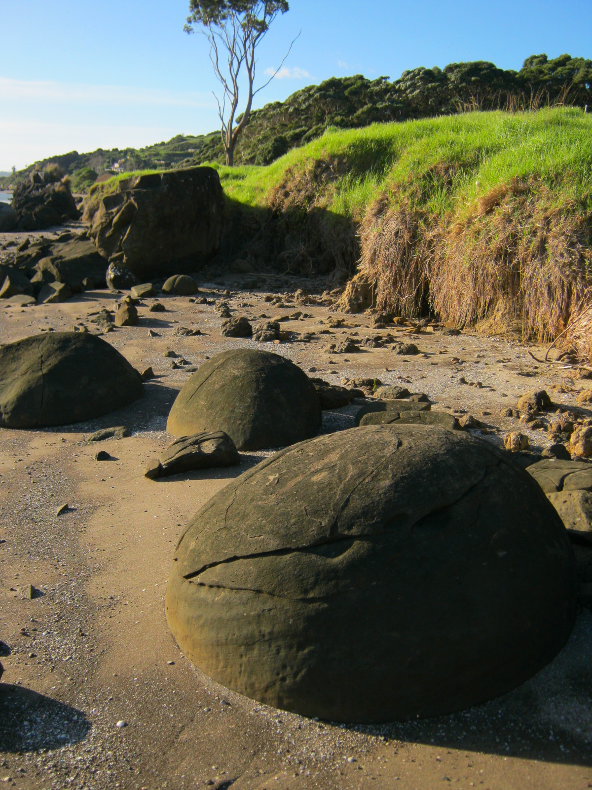 Round the Rocks: Curious New Zealand Concretions: Koutu Boulders
