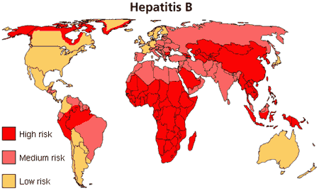 Epidemiologi Penyakit Menular: HEPATITIS B