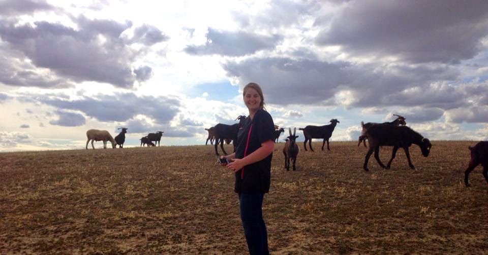 A Journey: Adopting a Galgo: I Love Scooby in the Springtime ...