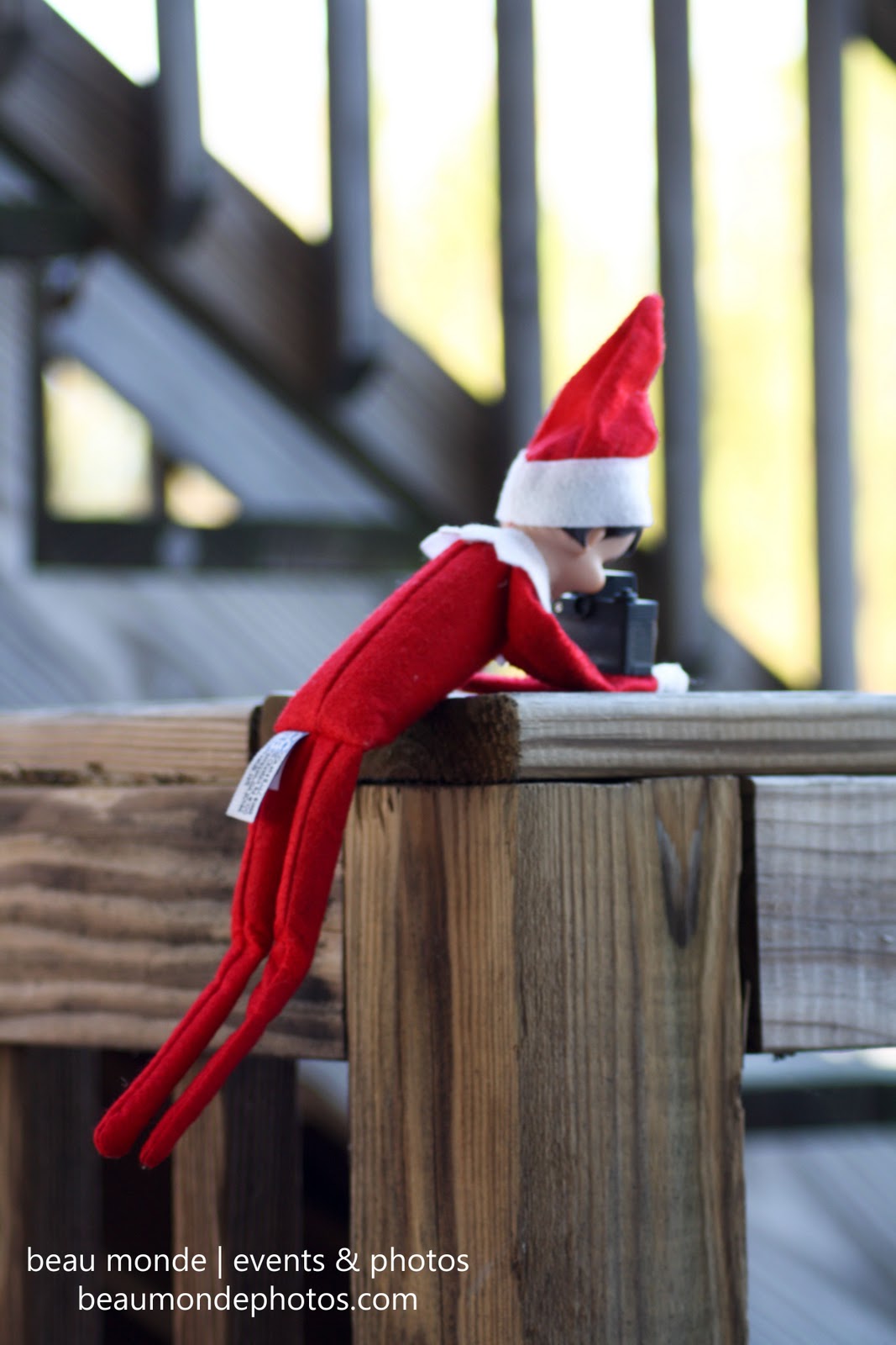 beau jangles : elf photographer