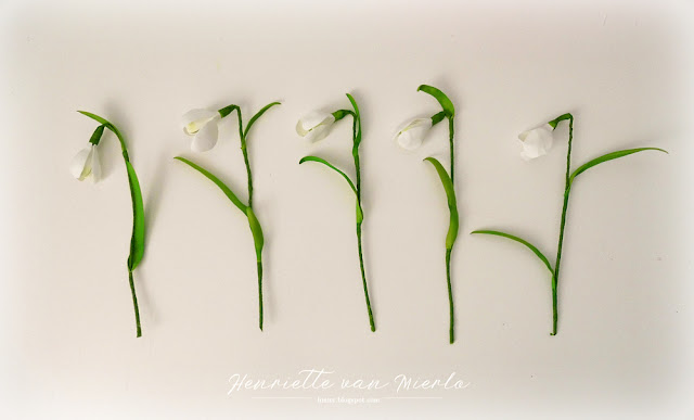 14 Craft Bar: Snowdrops