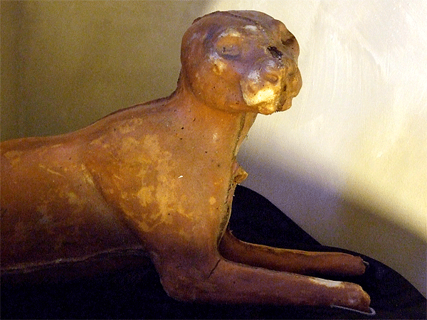 Pandora's Parlor: Vintage Taxidermy Bobcat Forms