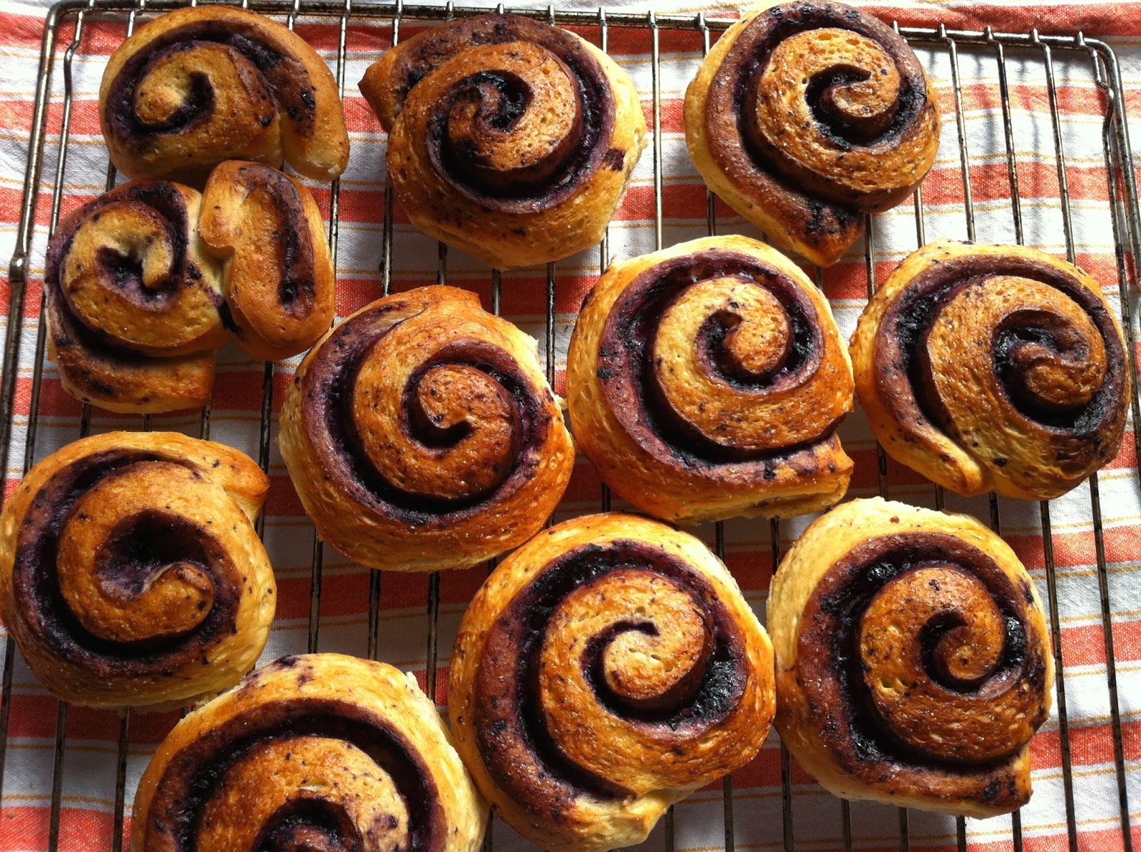 Elefant fabrikken: Snegle med blåbær.